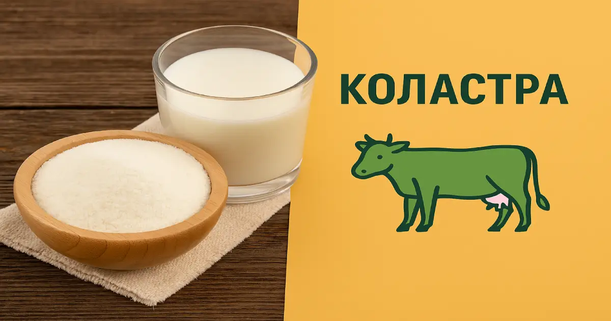 Коластра - информация, ползи и мнения | Kolastra.eu